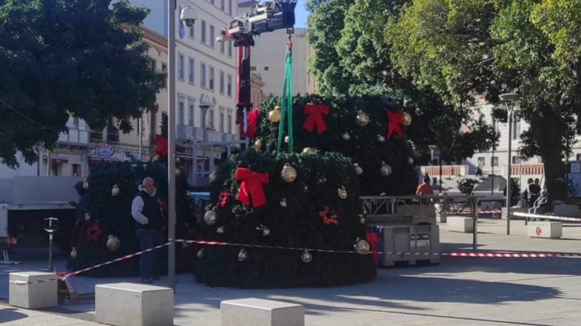 Cagliari, polemica sull'albero di piazza Garibaldi: "Plastica da 50mila ...