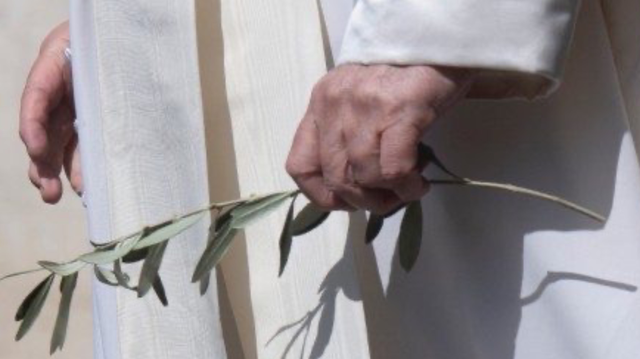 Domenica delle palme: in Vaticano i ramoscelli d’ulivo sardi | Prima ...