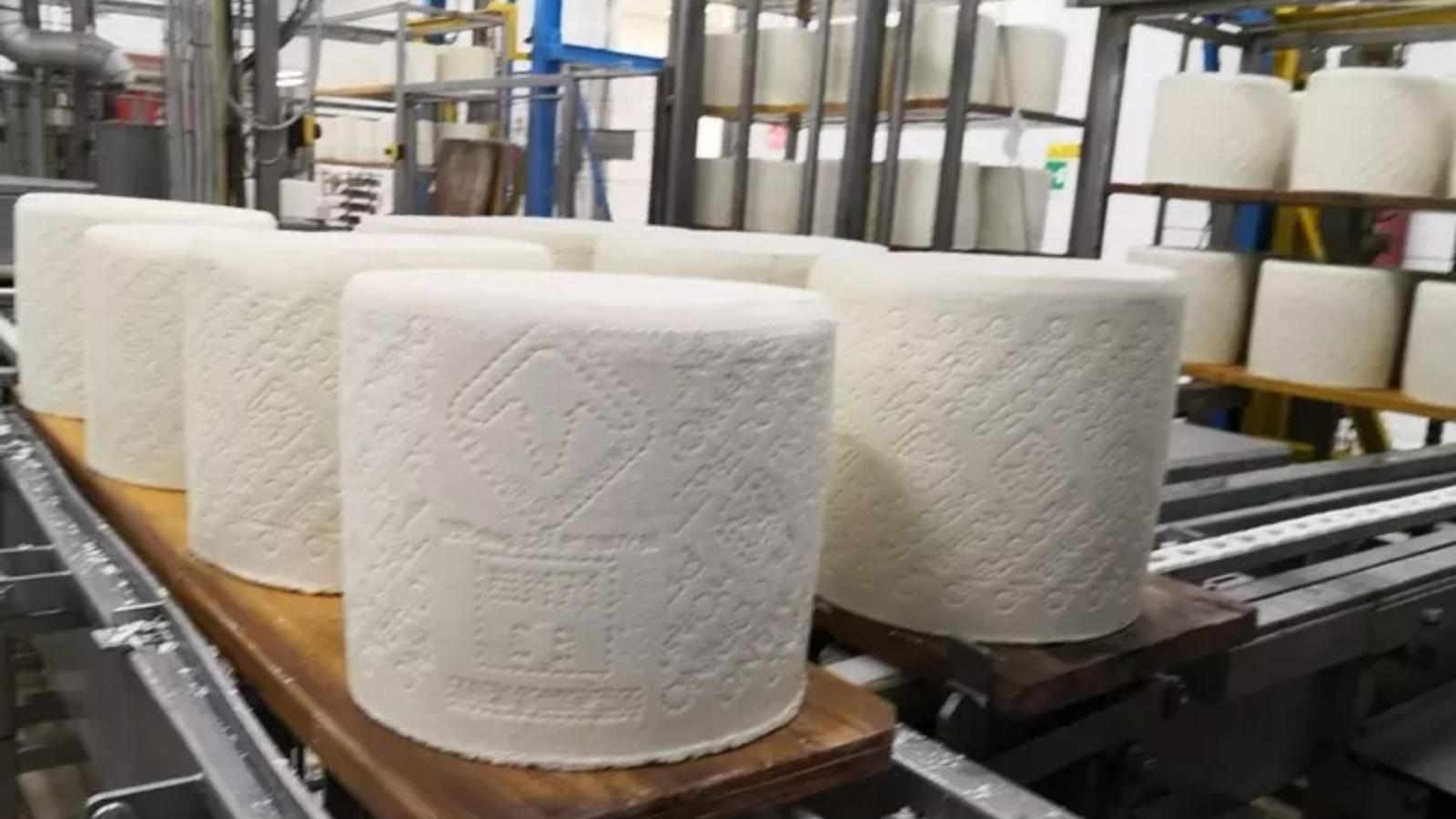 Pecorino Romano, Mele: "Si tuteli il latte delle pecore sarde ...